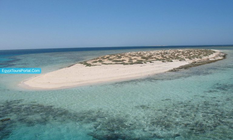 Top 9 Things to Do in Marsa Alam - Egypt Tours Portal