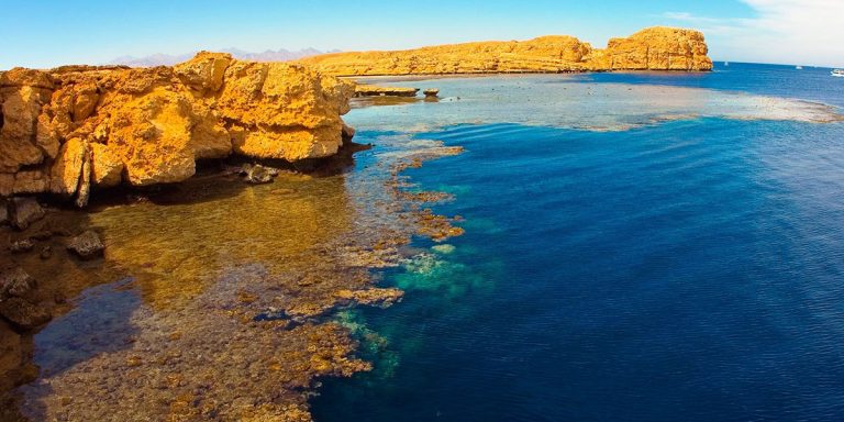 Top Famous 8 National Parks In Egypt - Egypt Tours Portal